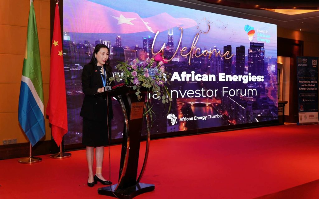Energy Chamber: Empowering Africa’s Energy Sector for Growth - African ...